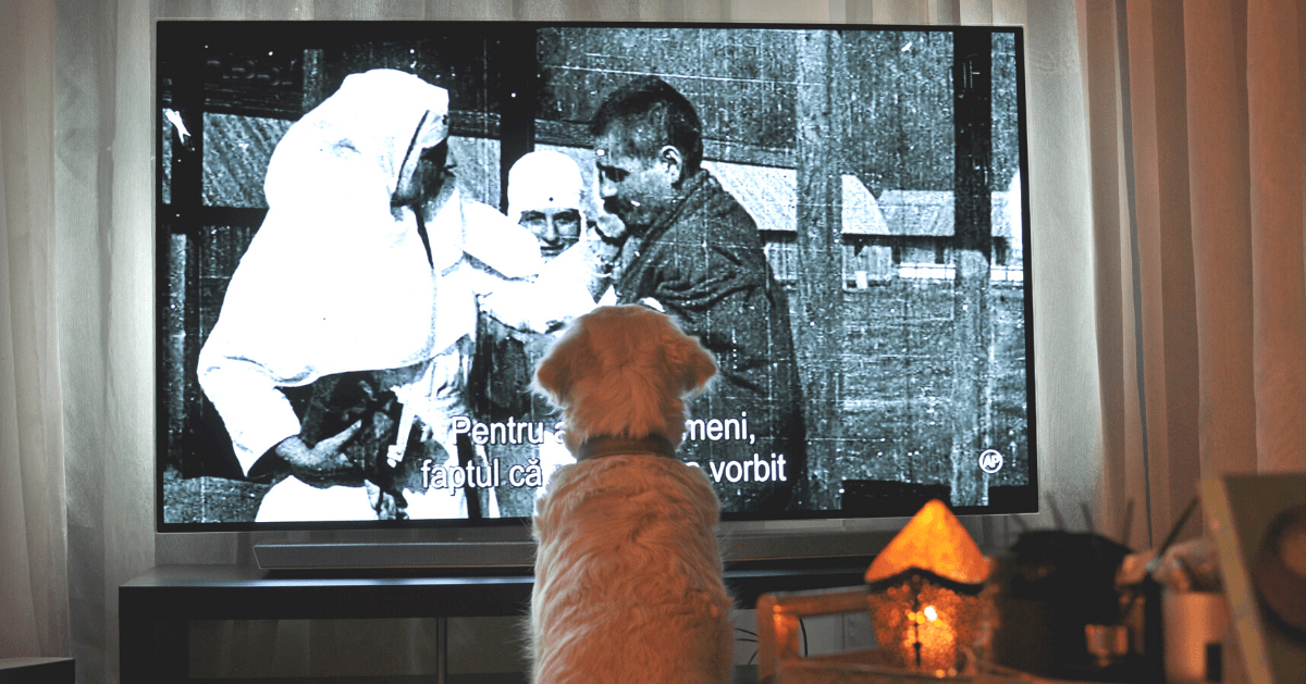 10 Famous Dogs in Movies: Must-Watch Dog Films